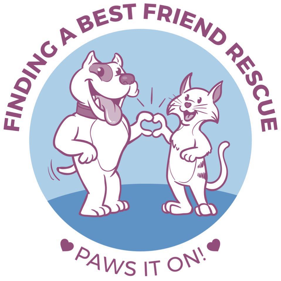 Dogs Available for Adoption – Finding A Best Friend Rescue